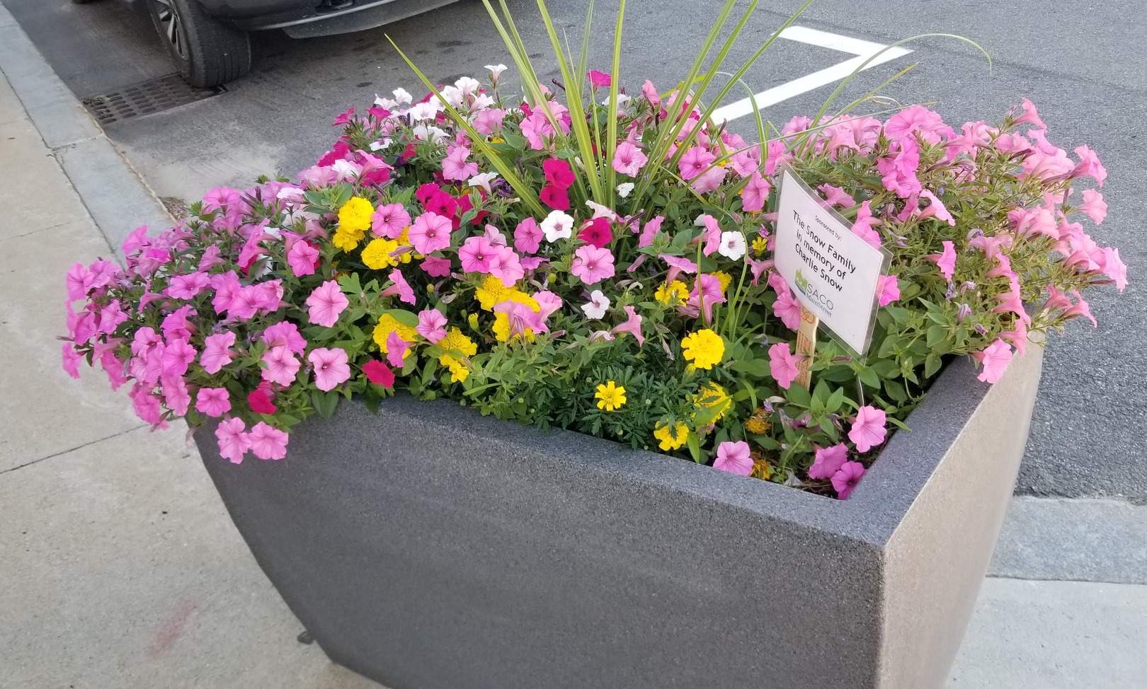 Sponsor a Planter on Main Street! – Saco Main Street